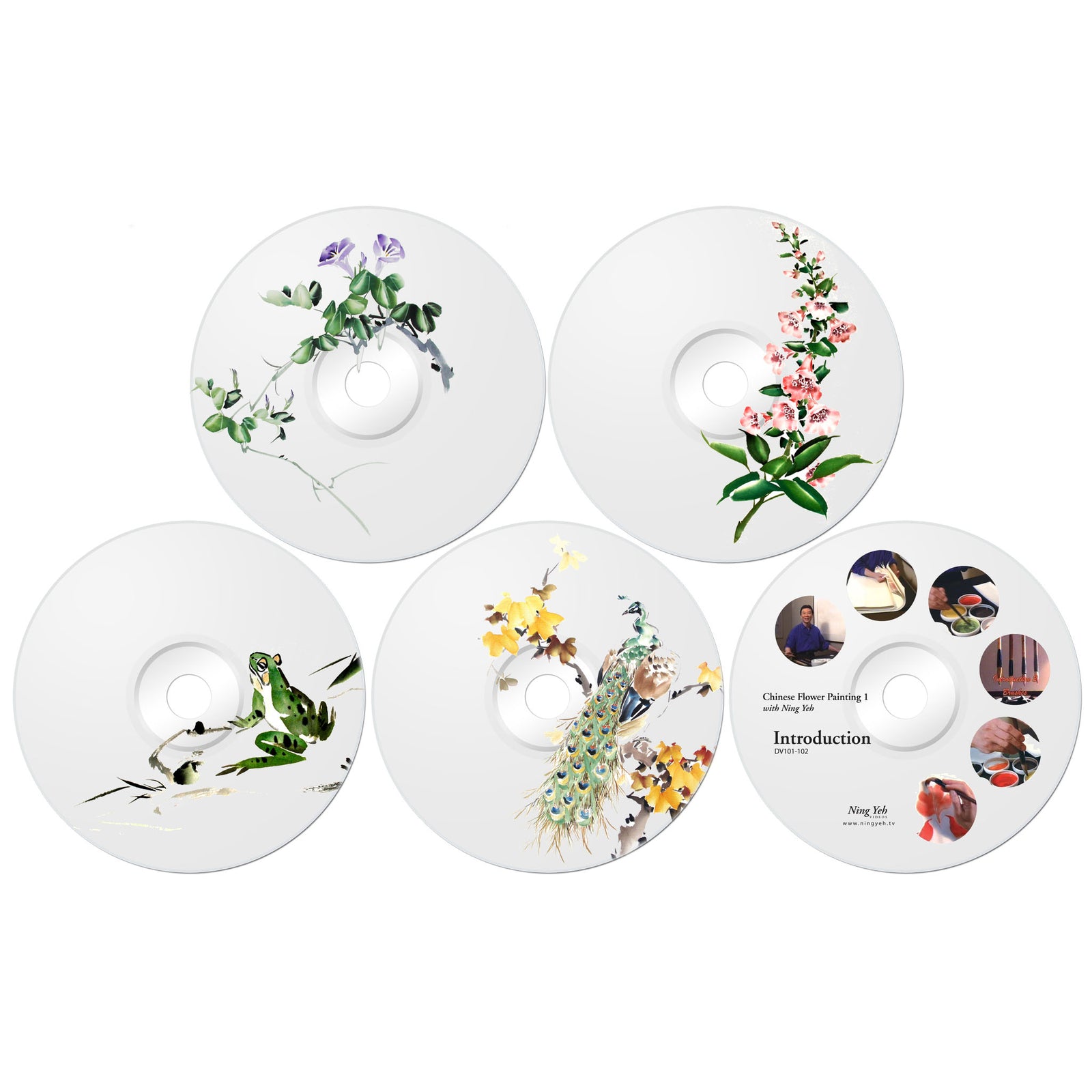 Spring 2020 5 DVD Set