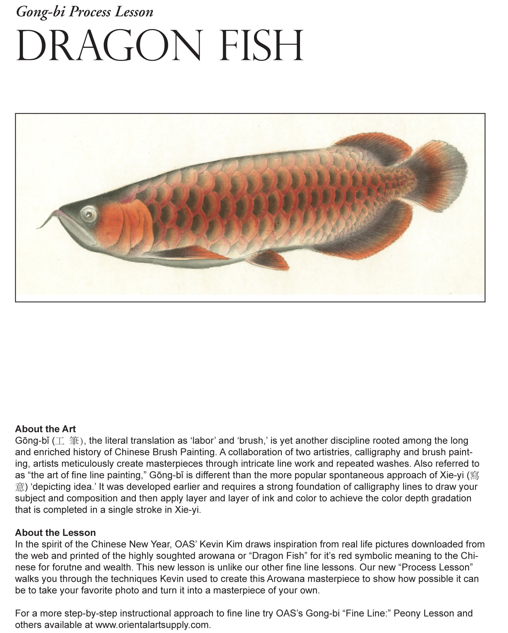Gong-bi "Process" Lesson: Dragon Fish